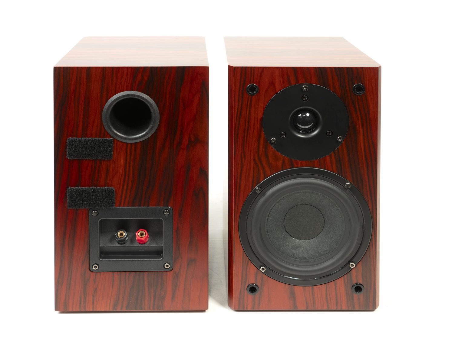 The Vanguard Scout Speakers – From VeraFi
