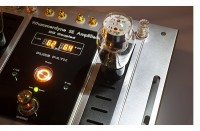 The Whammerdyne DGA Amplifier